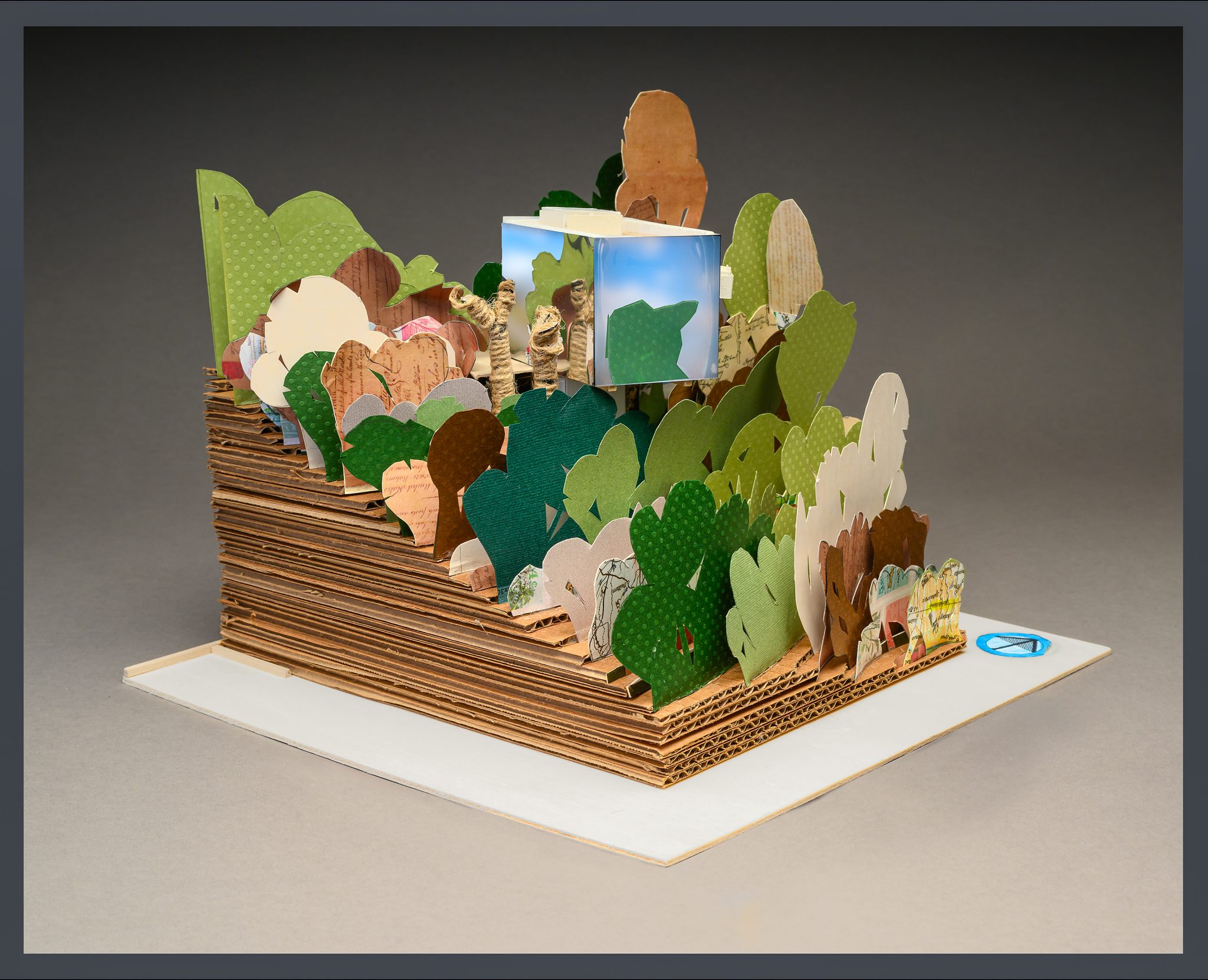 Walk Portage Path – Learn As You Walk The Path